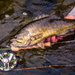 Axiom II - Temple Fork Outfitters