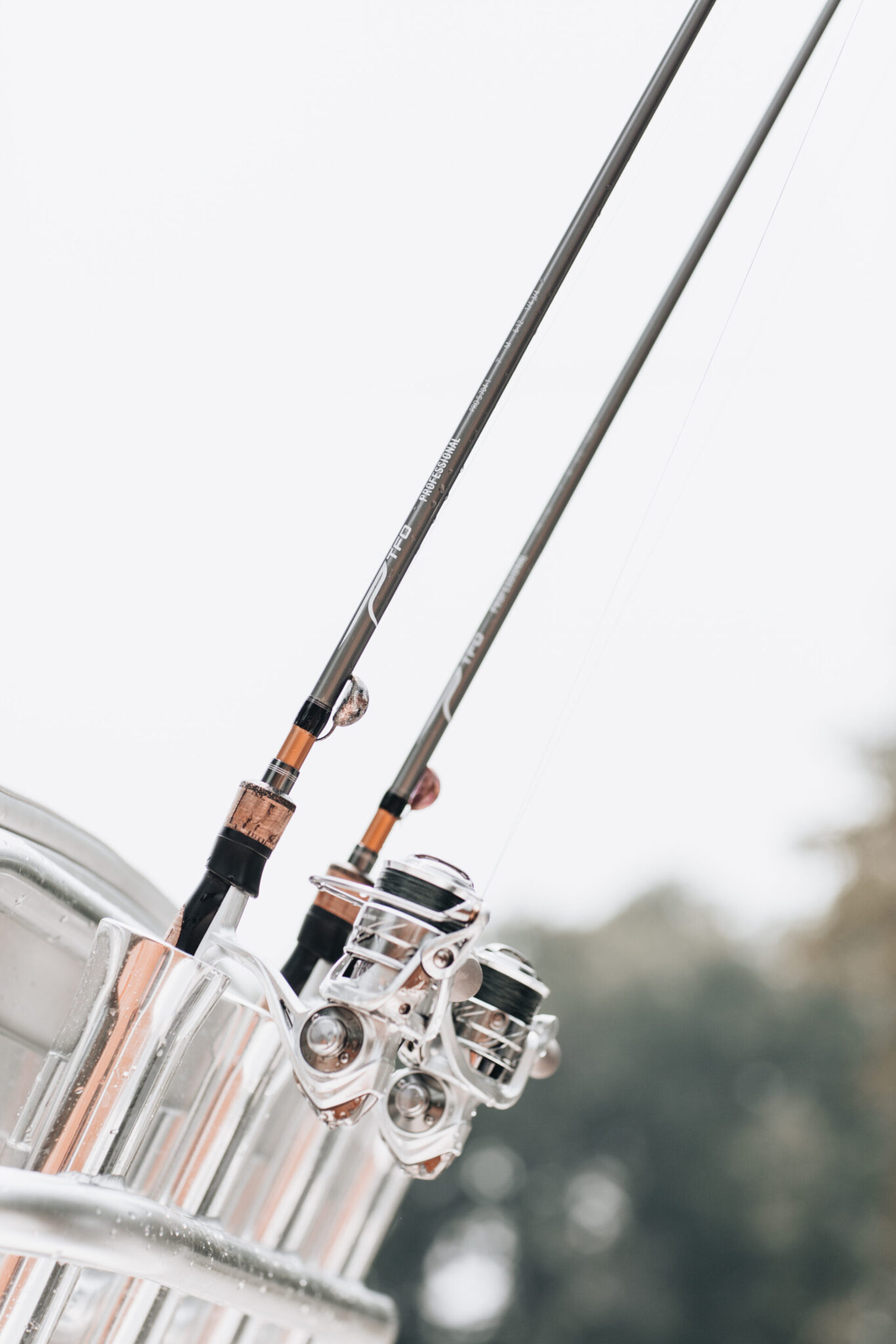 Sheepshead Fishing - How To Find & Catch Sheepshead - Temple Fork ...