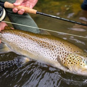 Dispatch Kit - Temple Fork Outfitters